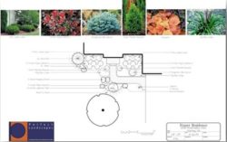 Landscape Design Master Plan - Perfect Landscapes